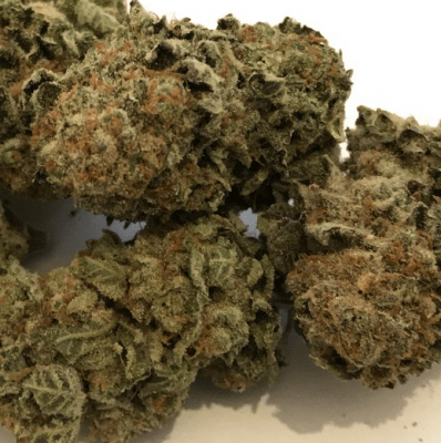 Buy Citrus Tree Strain 1oz - Cali Exotic Weed Online